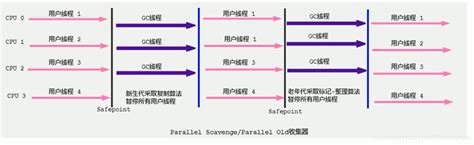 parallel垃圾回收器总结 xx useparallelgc csdn博客