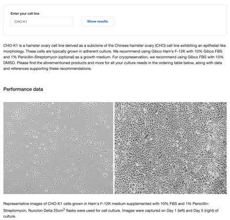 Discover Optimal Cell Culture Conditions Efficiently With The New Online Cell Culture Select Tool