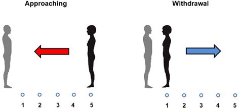 Schematic Representation Of The Experimental Procedure The Participant Download Scientific