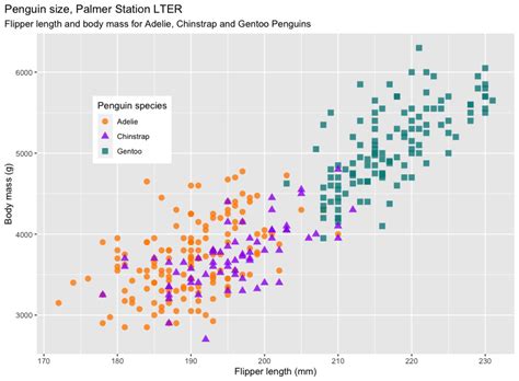 intro to r and the tidyverse data services
