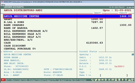 How To Change Color Of A Party Ledger In Marg Software