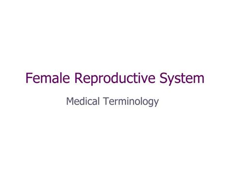 Ppt Female Reproductive System Powerpoint Presentation Free Download