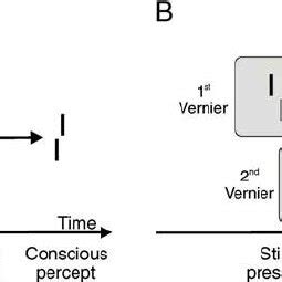 Possible Stages Of TMS Interference A The Consecutively Presented Download Scientific