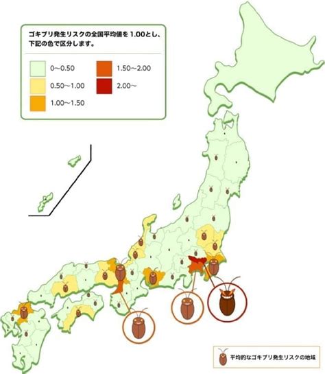 Cockroach Damaged Areas The Worst 3 Are Osaka Kanagawa And