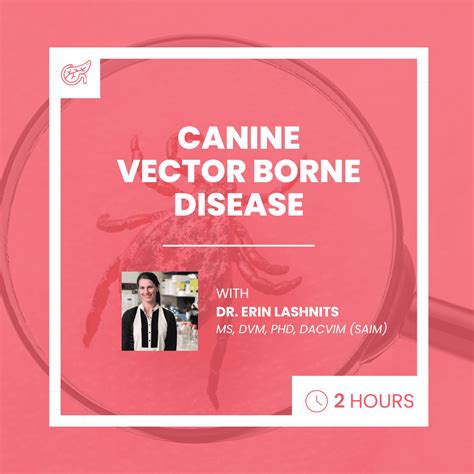 Canine Vector Borne Disease Obi Veterinary Education