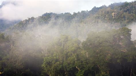 Scientists Say Humidity