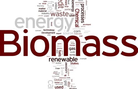 Biomass Fermentation Vs Precision Fermentation