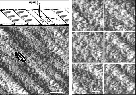 Figure 1 From Intralayer Coupling In Self Organized Fe Nanoclusters