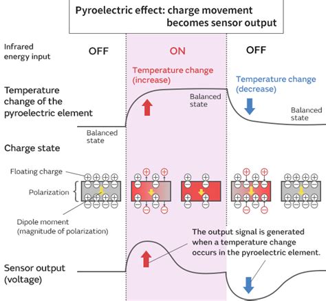 Basics What Is A Pyroelectric Infrared Sensor Basics Murata Manufacturing Co Ltd