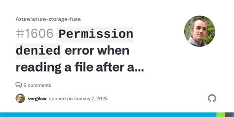 Permission Denied Error When Reading A File After A Successful Mount