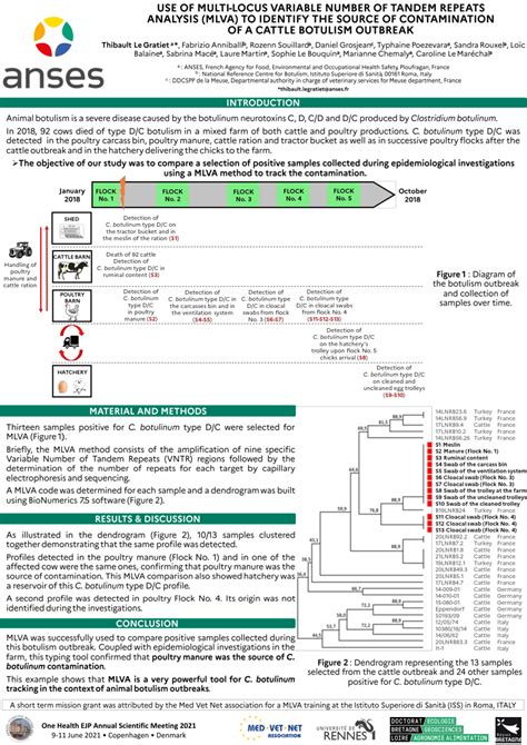 PDF Use Of Multi Locus Variable Number Of Tandem Repeats VNTR Analysis MLVA To Identify