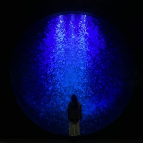 Yori Yoriyorinco Threads Say More