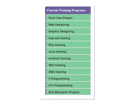 Patel Web Solution Pptx