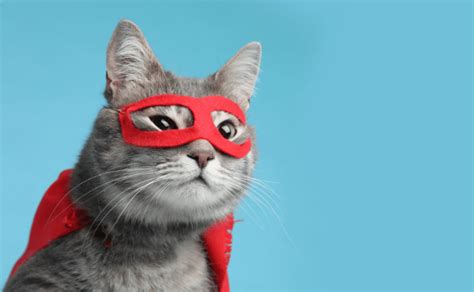 Automation Gives You Superpowers But Which Type Way We Do