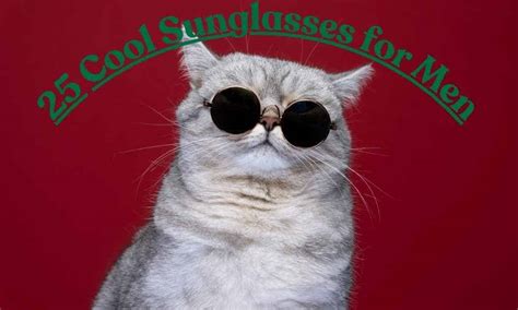Best 25 Cool Sunglasses For Men Top Picks For Summer