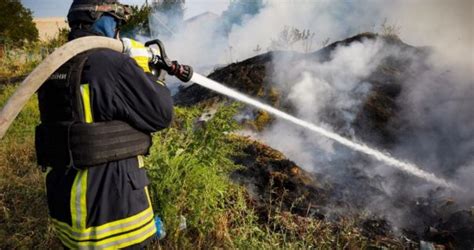 У Чорнобильській зоні спалахнула лісова пожежа — що відомо Читайте на Ukr Net