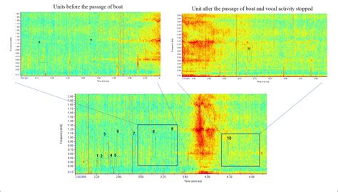 Figure From Understanding Effects Of Whale Watching Vessel Noise On Humpback Whale Song In The