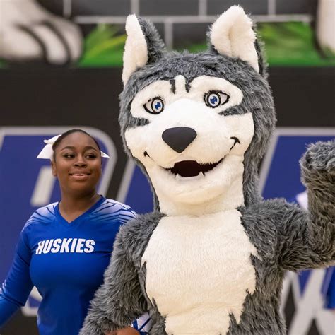 High School Mascots And Colors