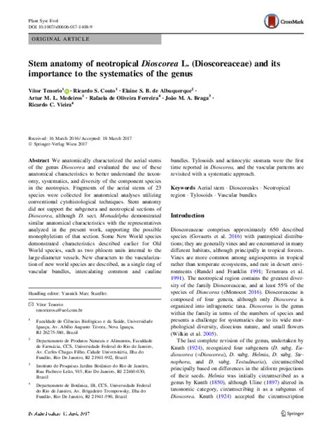 Pdf Stem Anatomy Of Neotropical Dioscorea L Dioscoreaceae And Its