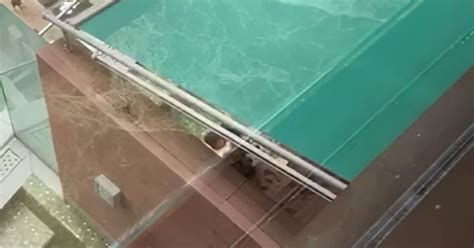 Couples Caught Having Sex In Outdoor Jacuzzi At Swanky Hotel As Guest