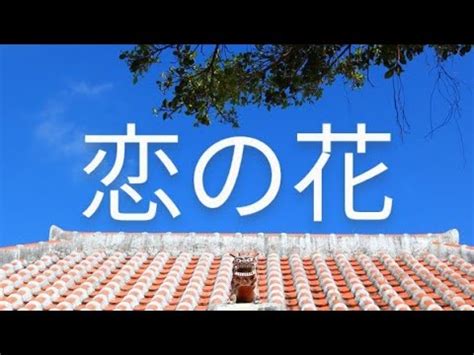 沖縄民謡 恋ぬ花 日本語訳 Youtube