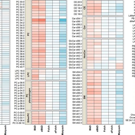 Heatmap Comparison Of The Lipid Species Found In CSF The Average