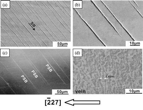 Figure 2 From Dislocation Arrangements In Cyclically Deformed Au Single