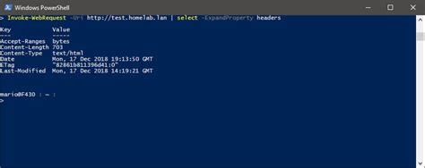 Disable IIS Server Headers Mario S IT Notes