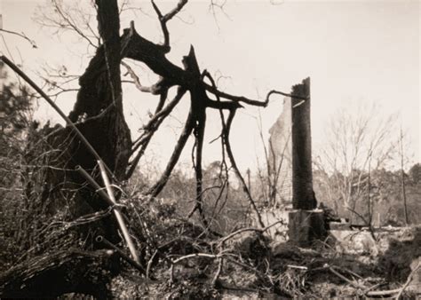 Flux Fall 2022 Willie Anne Wright — Candela Books Gallery