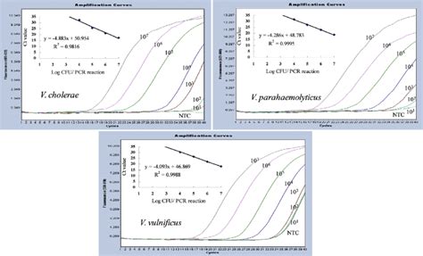 Multiplex Real Time Polymerase Chain Reaction Pcr Amplification Plots Download Scientific