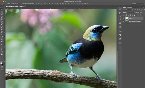 02 Add Layer Mixer Brush Shift Art