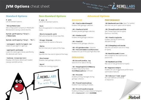zt jvm options cheat sheet pdf java programming language java