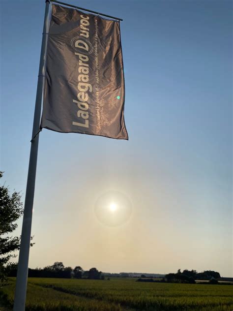 August Viser Sig Fra Sin Smukkeste Side Hos Ladegaard Duroc Er Vi Ovenpå En Dejlig Sommer Igen