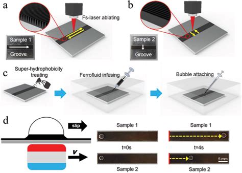 Schematic Of The Samples Fabrication Via One‐step Femtosecond Laser Download Scientific