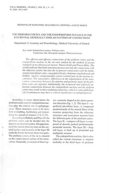 Pdf The Piriform Cortex And The Endopiriform Nucleus In The Rat Reveal Generally Similar