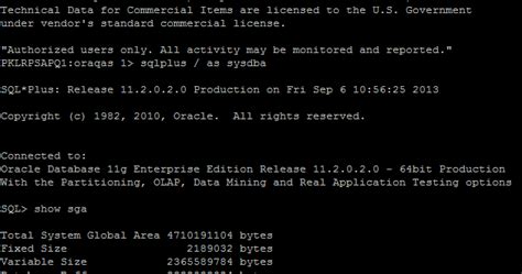 Sap Basis For Beginner Oracle How To Determine Total Memory Assigned