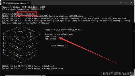 redis 5的安装及启动（window） redis5下载 csdn博客