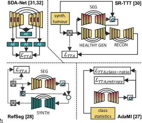 Figure 1 From Dg Tta Out Of Domain Medical Image Segmentation Through Domain Generalization And
