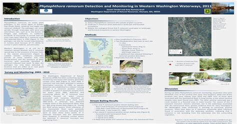 Pdf Phytophthora Ramorum Detection And Monitoring In Western Dokumentips