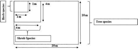 Diagram Of The Vegetation Survey Quadrats Used To Evaluate Site Use By