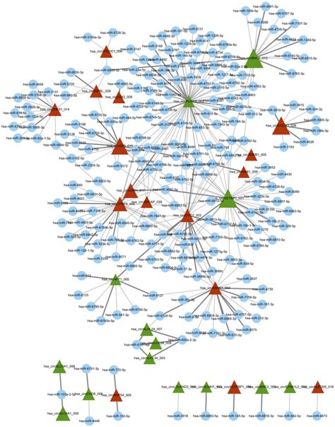 Circular Rna Microarray Expression Profile And Potential Function Of
