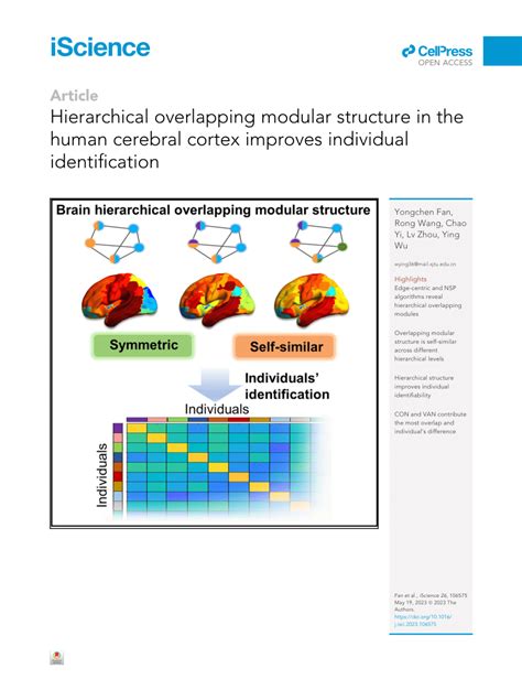 Pdf Hierarchical Overlapping Modular Structure In The Human Cerebral