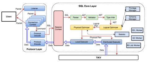Tidb架构解析及应用 一只小小鸟