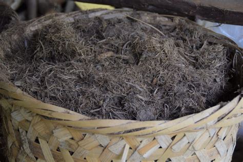 Farm Poo Paper Dont Pooh Pooh It Countryside