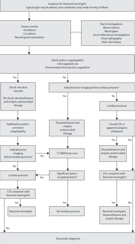 Emergency Diagnosis And Treatment Of Adult Meningitis The Lancet