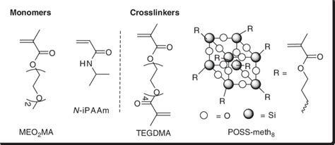 Scheme 1 Structures Of The Used Monomers And Crosslinkers Download