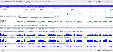Ncbi Sequence Viewer · Genocat Tools