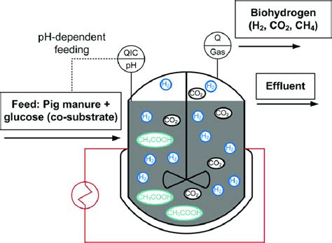 Schematic View Of The Reactor Setup Download Scientific Diagram