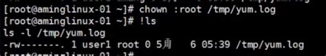 Centos 文件目录权限chmod更改所有者和所属组chownumask隐藏权限lsattr chattr CTO博客 centos更改文件夹所有者