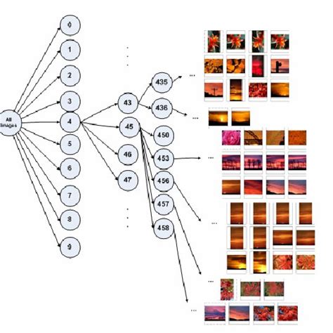 Graphical Hierarchical Representation Of Classification For The Images